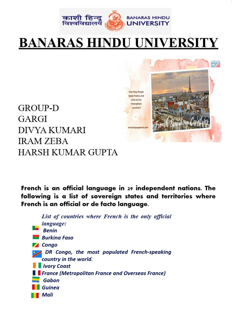 Presentation4 Group D | PDF | French Language | Linguistics