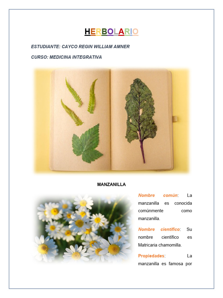 HERBOLARIO | PDF | Eucalipto