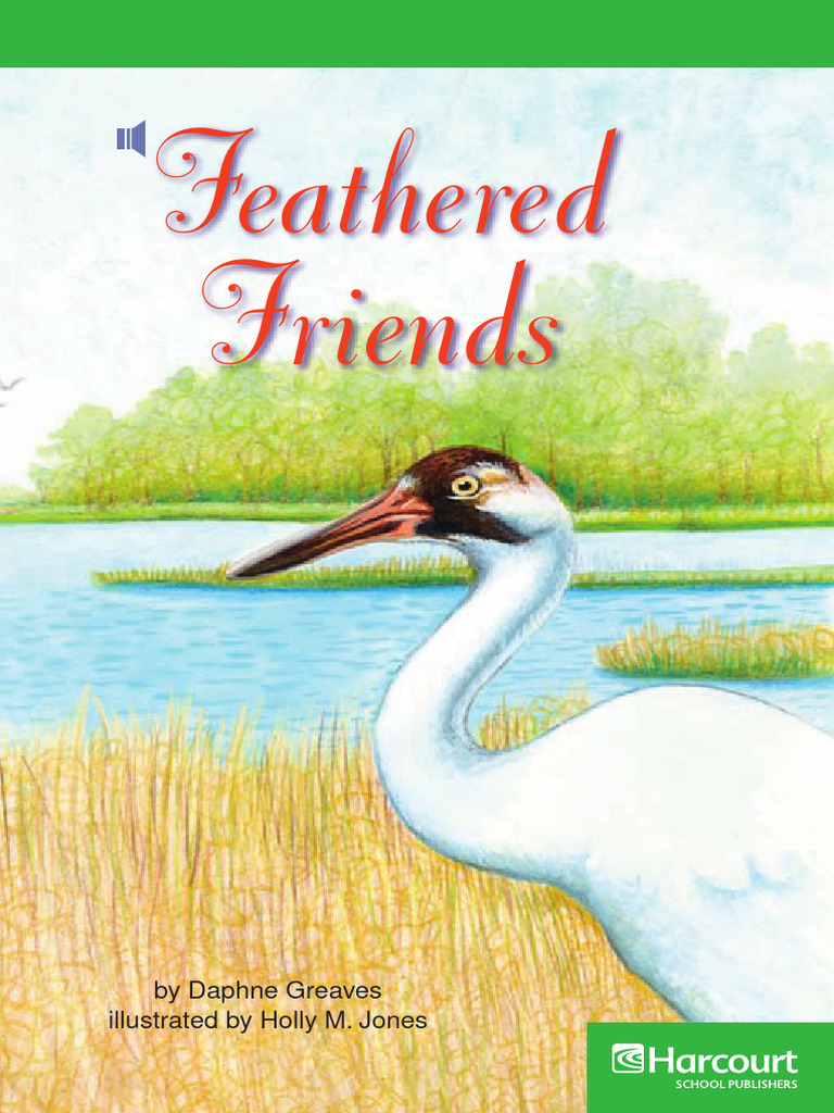 10 Feathered Friends | PDF | Birds | Ornithology