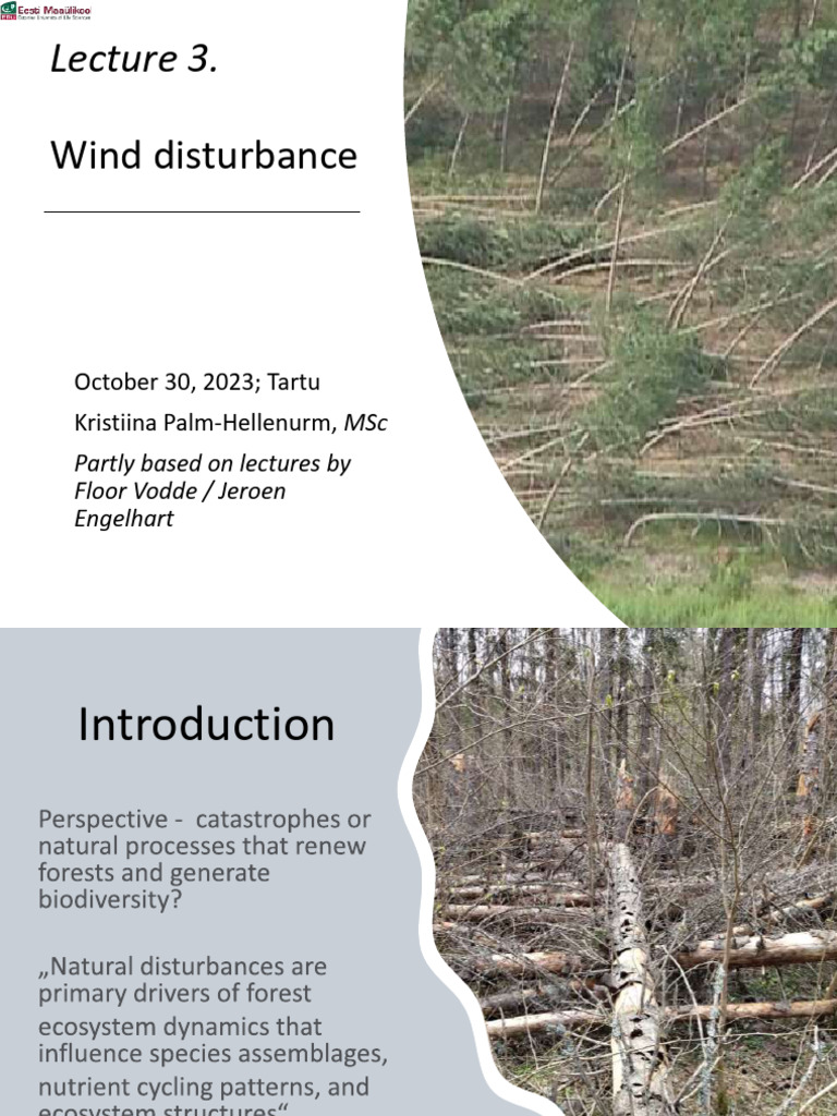 Forestdisturbancedynamics Wind Disturbance2023 | PDF | Disturbance ...