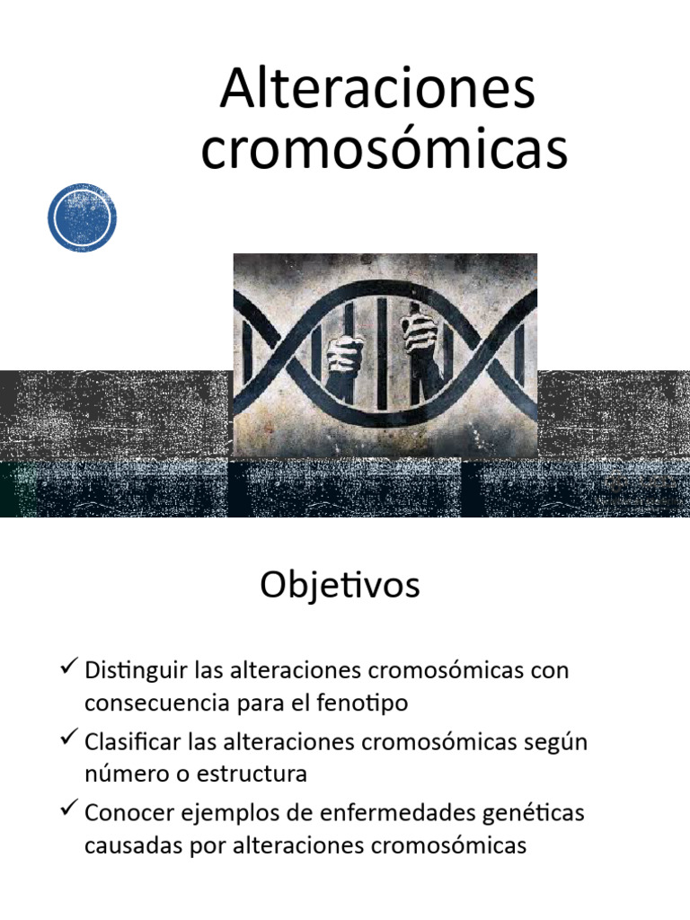 Alteraciones Cromosomicas | PDF | Cariotipo | Cromosoma