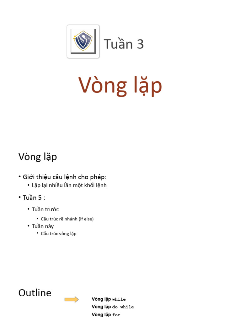Tuan3 VongLap Quy | PDF