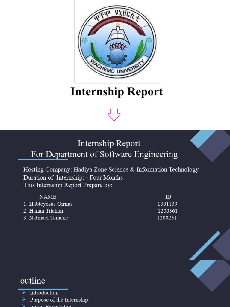 Intern Report 66666 | PDF | Databases | Computer Programming