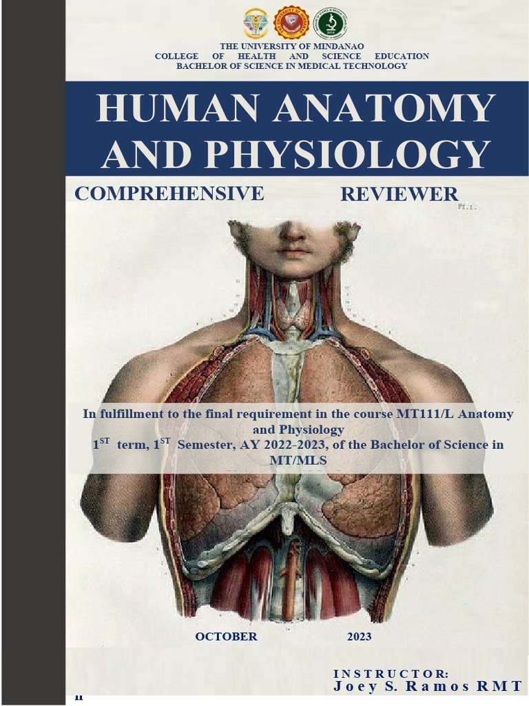 Anaphy Final Requiremnet | PDF | Epithelium | Endoplasmic Reticulum