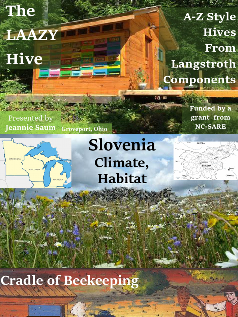 AZ Hives From Langstroth Components LAAZY Hive 1 | PDF | Beehive | Beekeeping