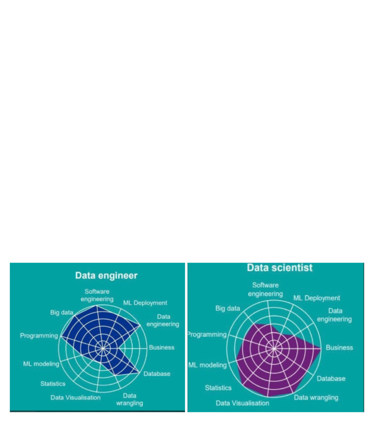 Data Engineer Vs Data Scientist | PDF
