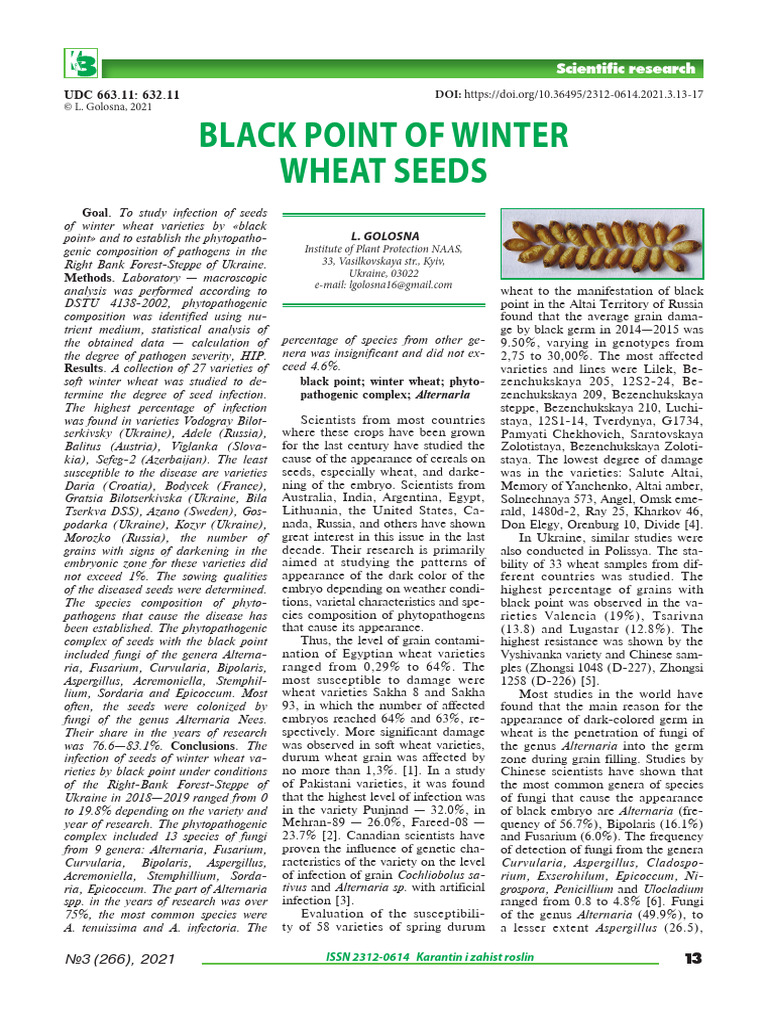 Black Point of Winter Wheat Seeds | PDF | Seed | Wheat