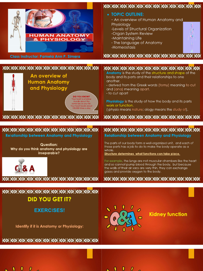 Lesson 1 - Anatomy and Physiology Lecture | PDF