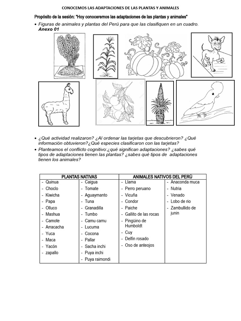 Adaptaciones de Plantas y Animales Peruanos | PDF | Ciencias sociales ...