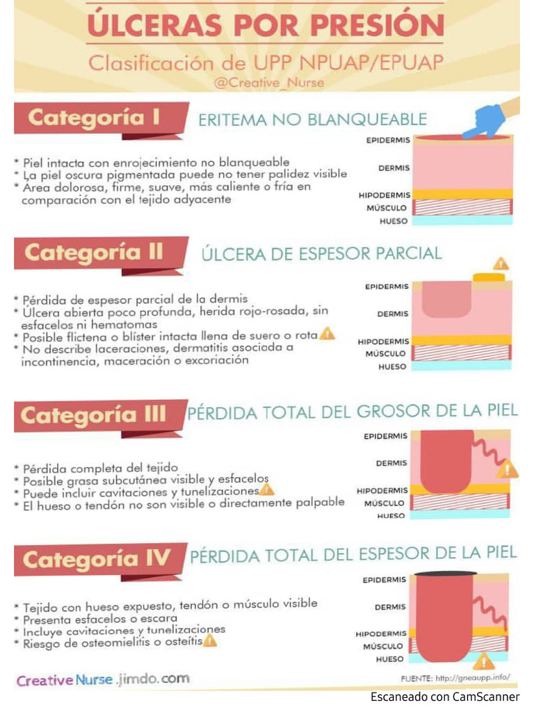 clasificación UPP | PDF
