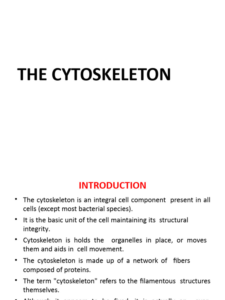 Thecytoskeleton Ppt Pdf Cytoskeleton Microtubule