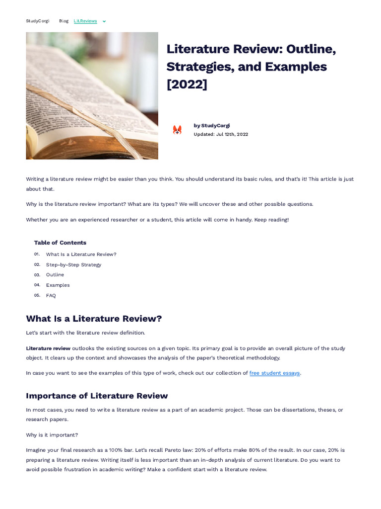 Literature Review - Outline, Strategies, and Examples - Blog StudyCorgi ...