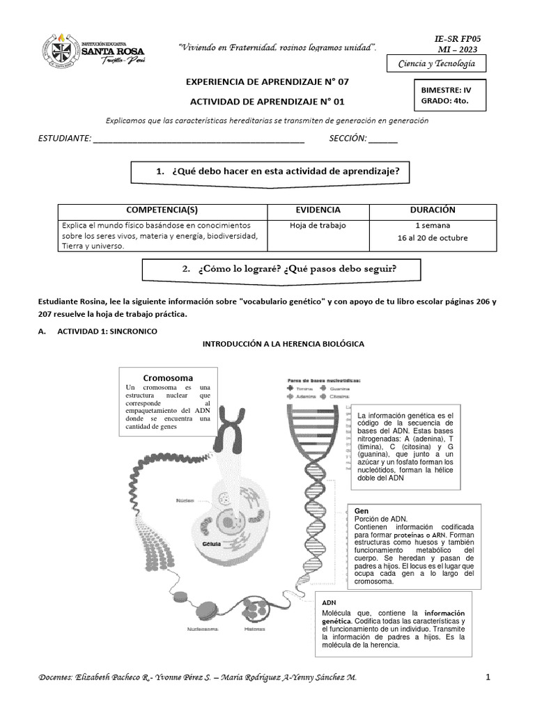 Herencia Biológica: Conceptos Clave | PDF | Dominancia (Genética) | Alelo