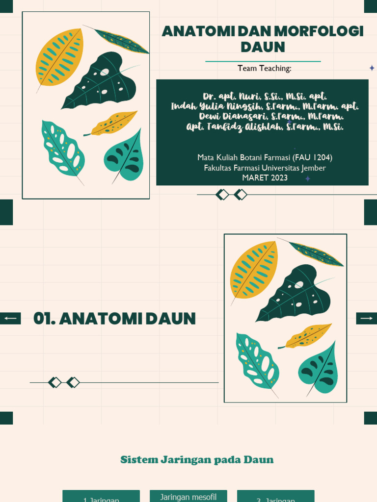 Anatomi Dan Morfologi Daun - Tanfidz | PDF