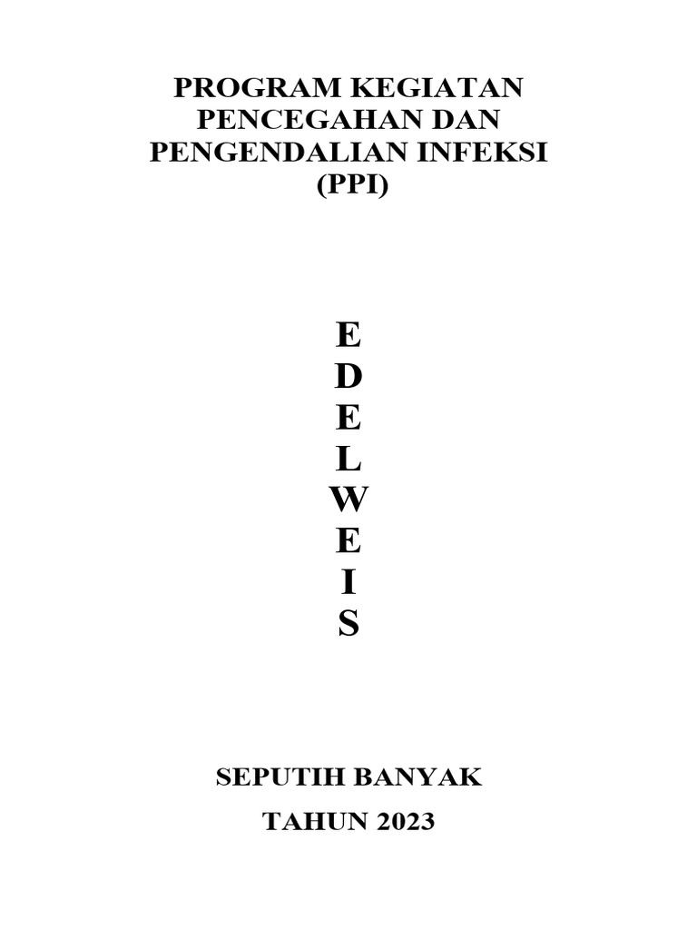 Program Kerja Ppi | PDF