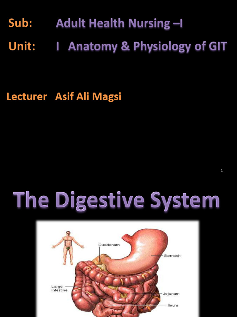 Lecturer Asif Ali Magsi | PDF | Gastrointestinal Tract | Digestion