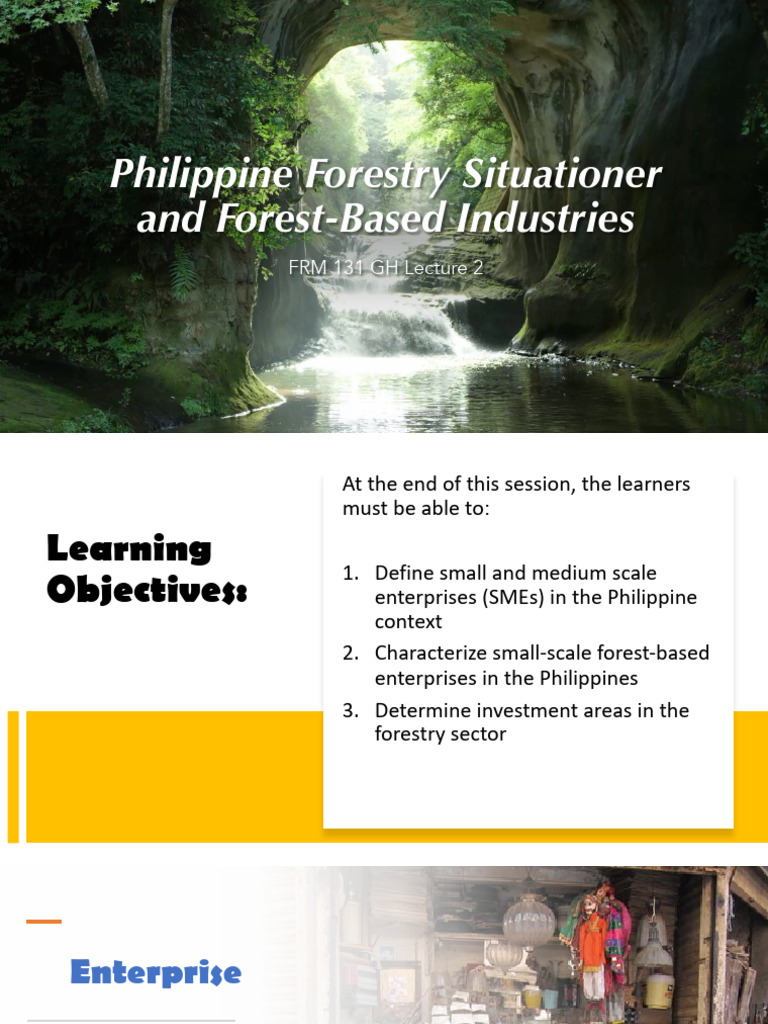 Lecture 2 Philippine Forest-Based Industries | PDF | Carbon Offset ...