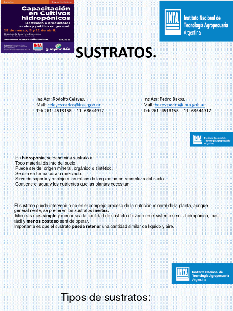 Sustratos | PDF | Hidroponia | Turba