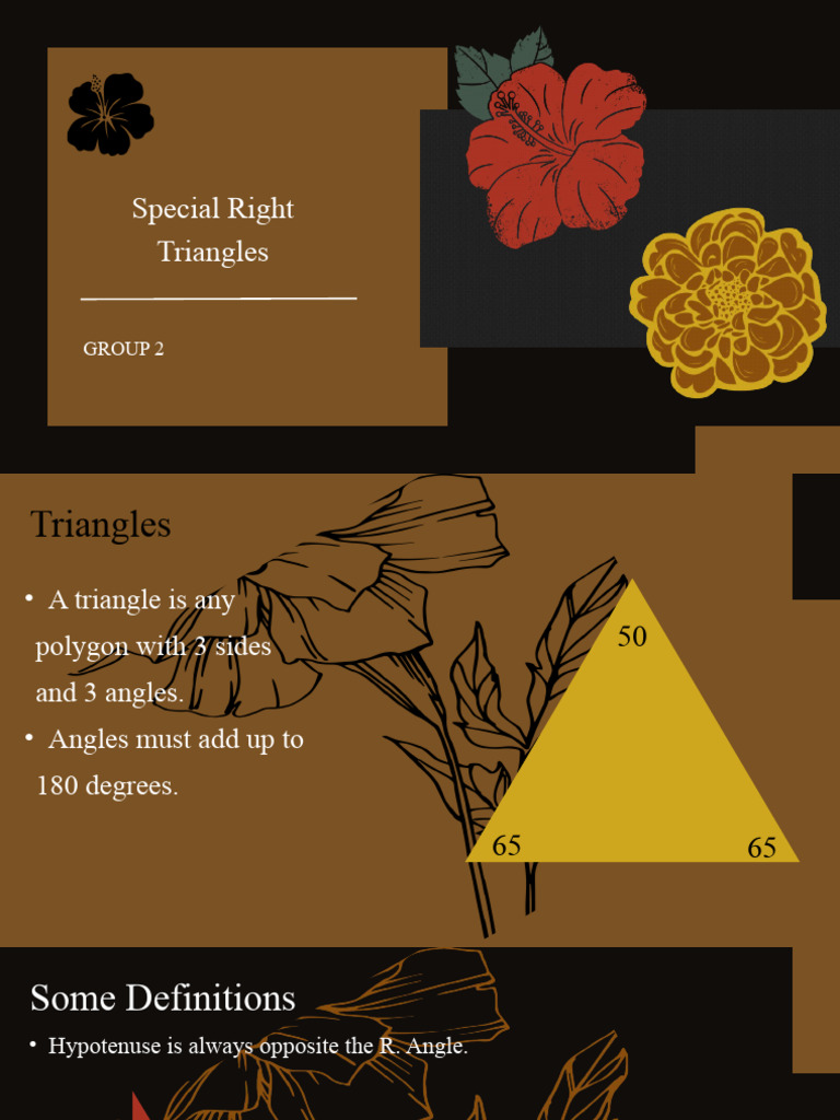 Special Triangles | PDF