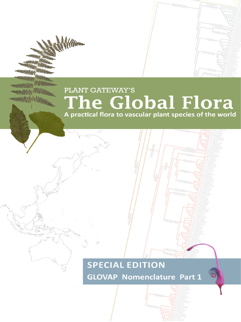 Global Flora Vol 4 | PDF | Taxonomy (Biology) | Genus