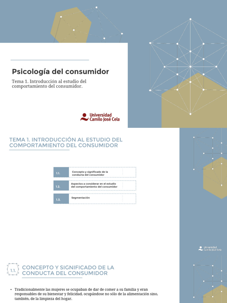 Tema 1. Introducción Al Estudio Del Comportamiento Del Consumidor-3 | PDF | Comportamiento ...
