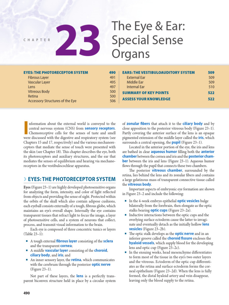 Junqueira's Basic Histology Text and Atlas by Anthony L. Mescher ...