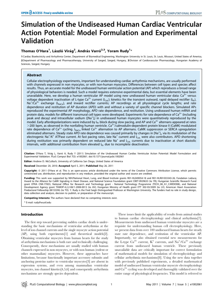 Computer Simulation | PDF | Action Potential | Heart