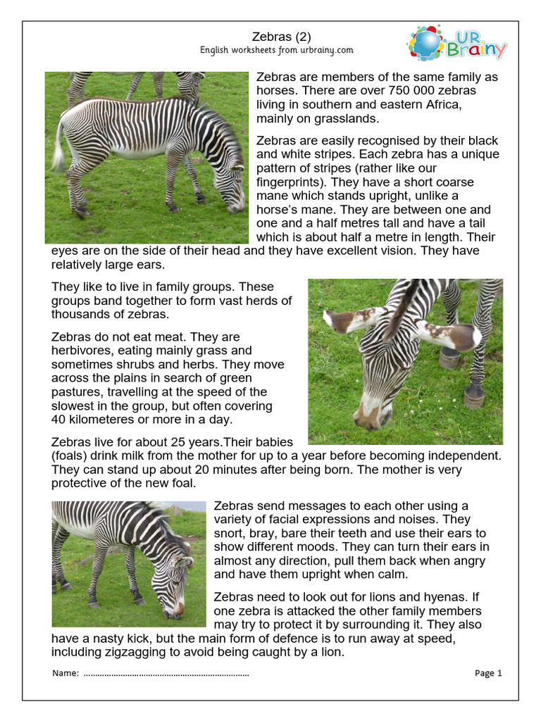 Zebra 2 | PDF | Zebra | Lion