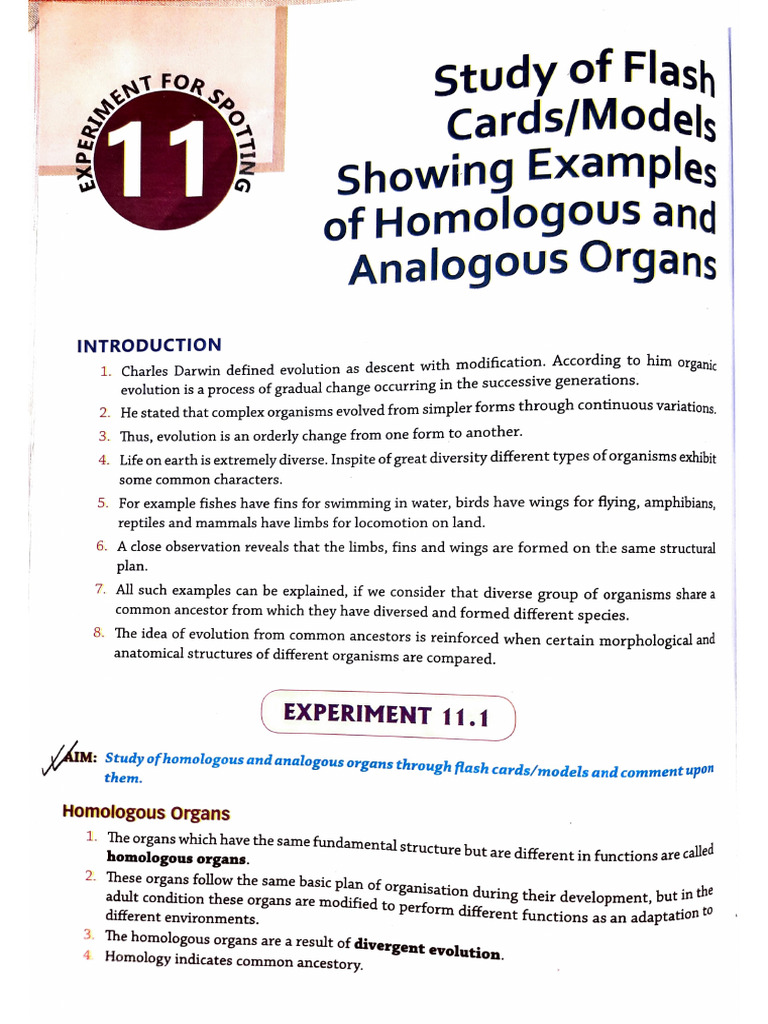 Practical | PDF | Homology (Biology) | Leaf