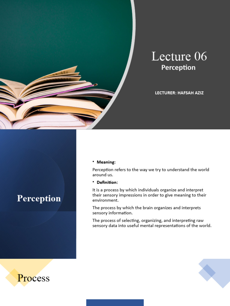 Lecture 6 - Perception | PDF | Perception | Experience