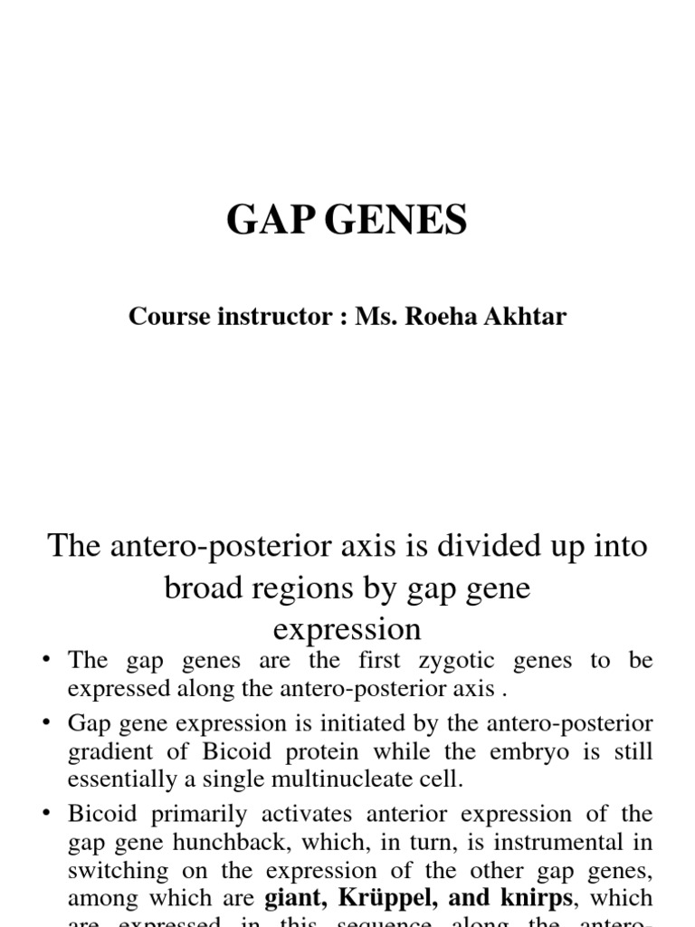 GAP Genes | PDF