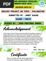 Biology Investigatory Project Class 12 PDF | PDF | Biology | Health Care