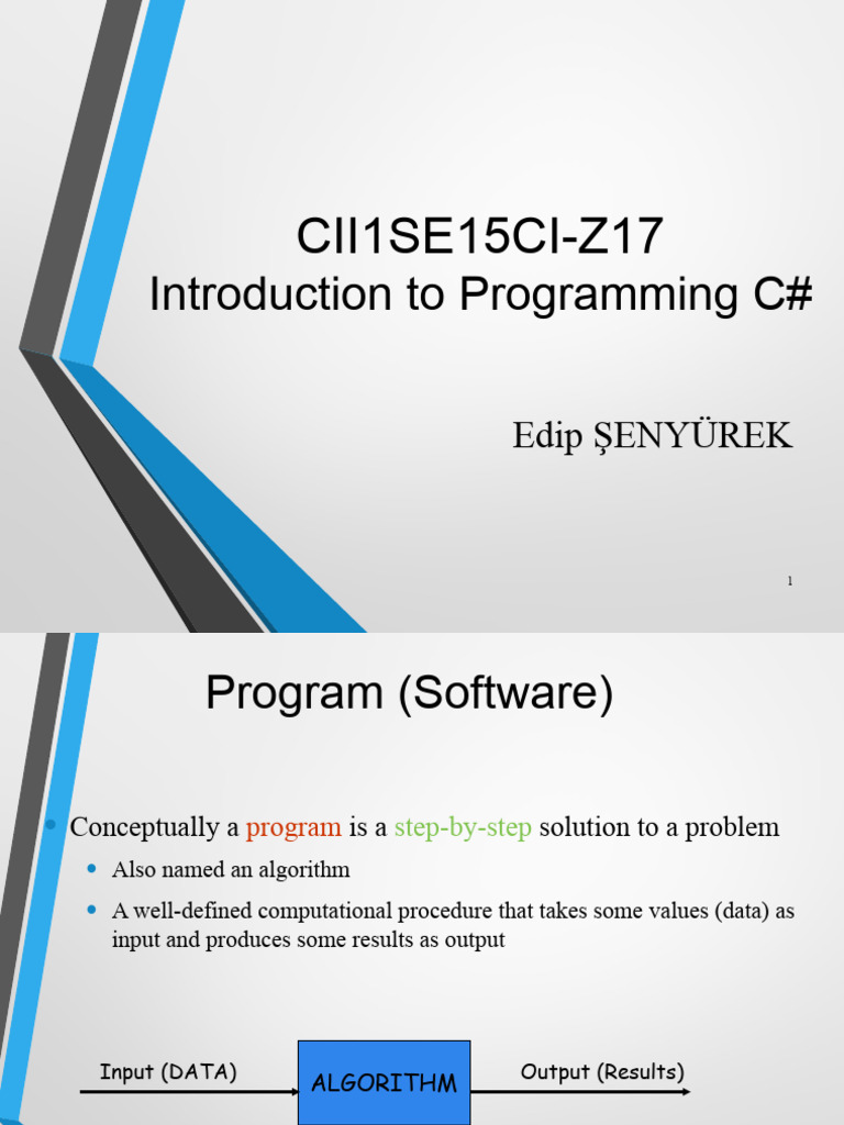 Lec02 SoftwareAlgorithmCS | PDF | Programming | Computer Program