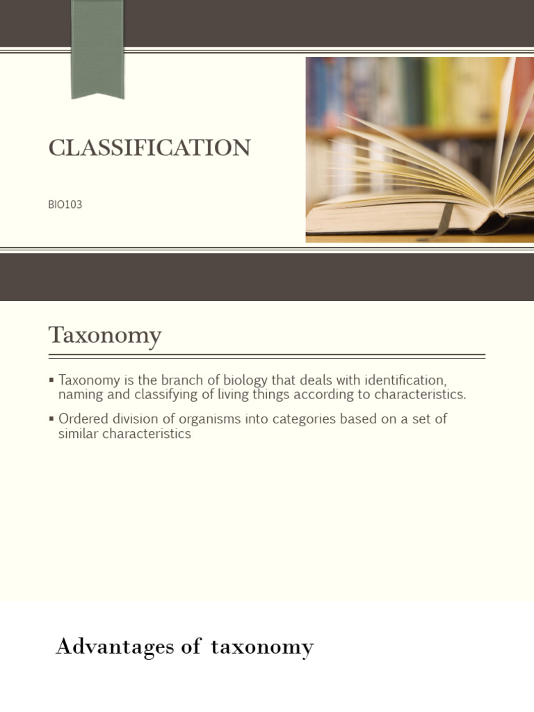 08 Classification | PDF | Taxonomy (Biology) | Eukaryotes