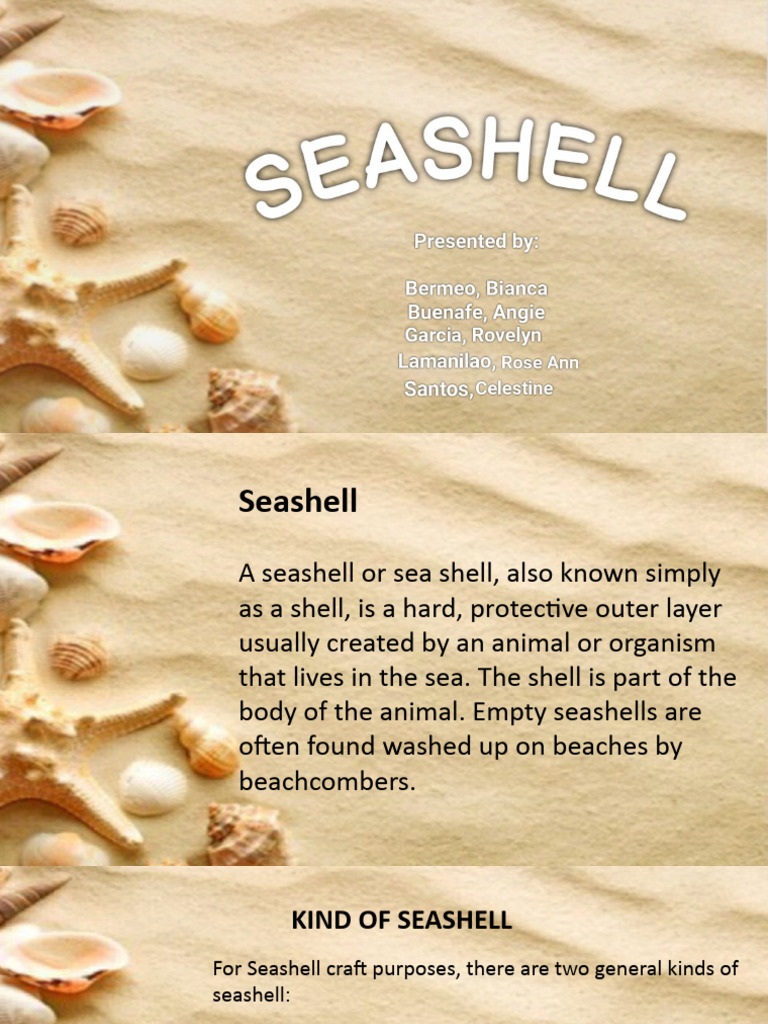 Module 9 Seashell Wps Office | PDF
