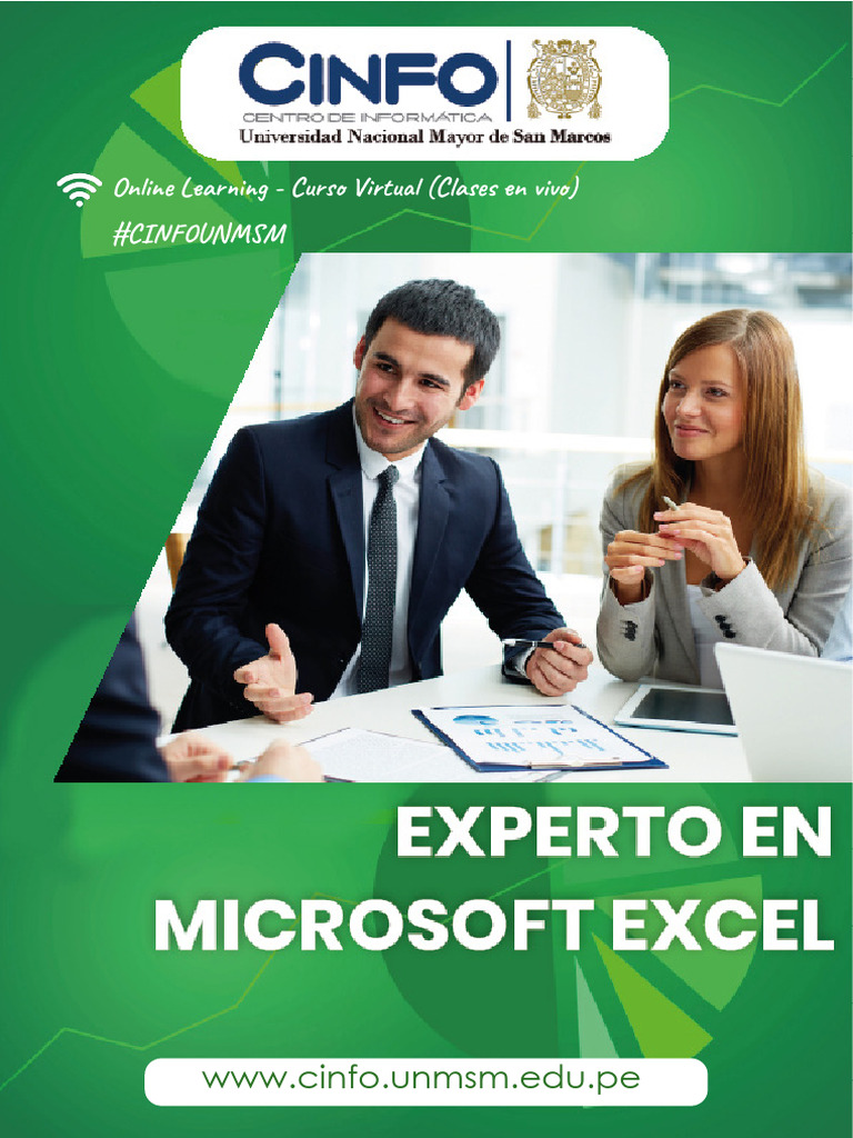 Brochure Experto en Excel | PDF | Microsoft Excel | Informática