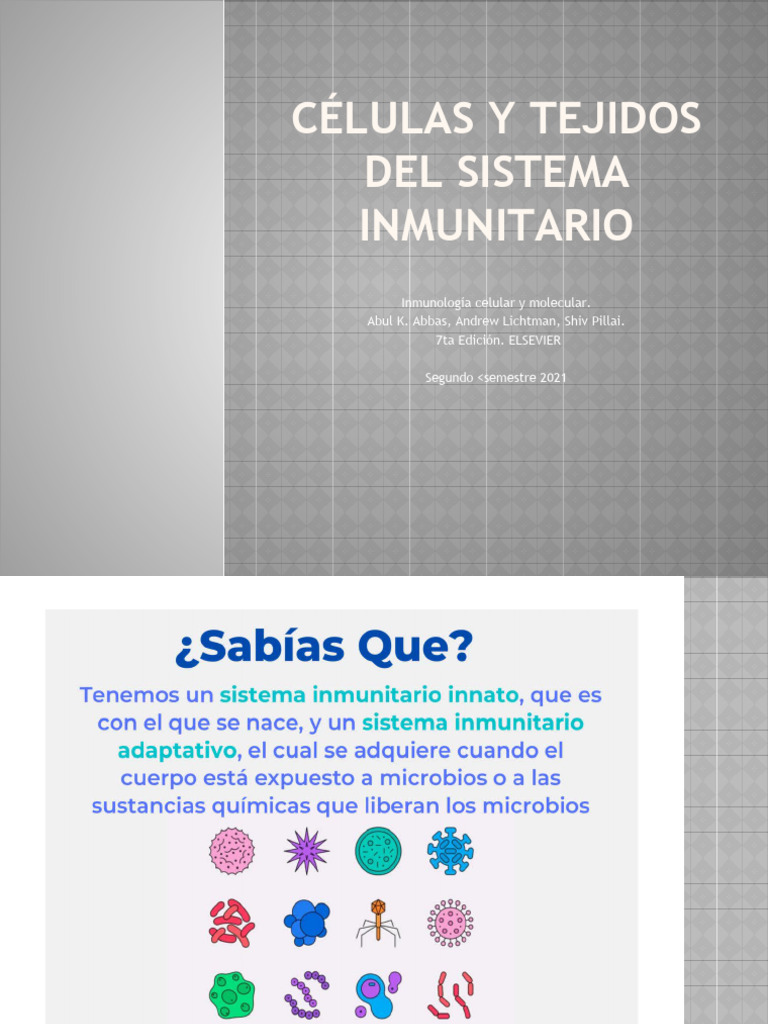 Celulas y Tejidos Del S.I. | PDF | Inmunología | Especialidades Medicas