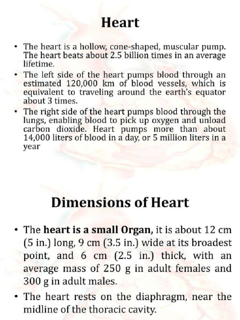 Heart | PDF