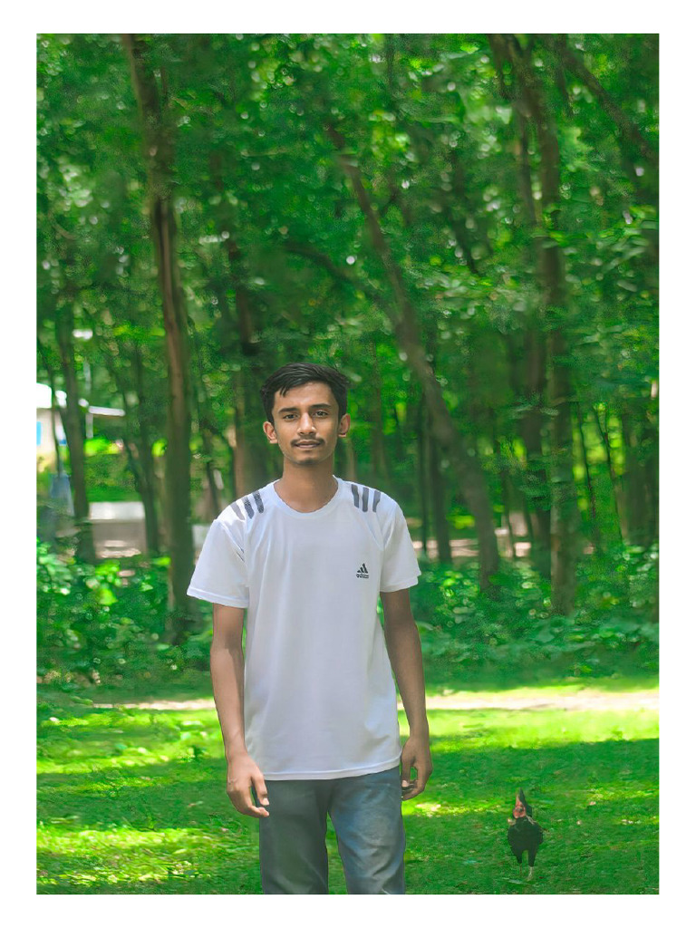 Mohammad Rakib Islam | PDF