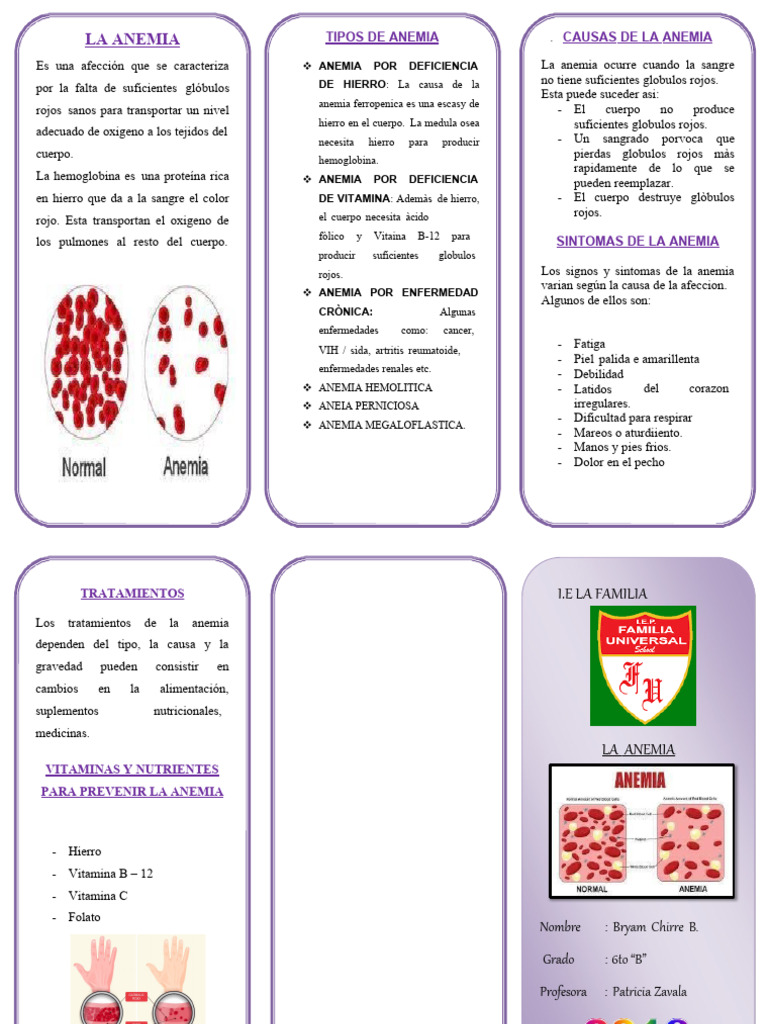 Triptico Anemia | PDF | Anemia | Glóbulo rojo