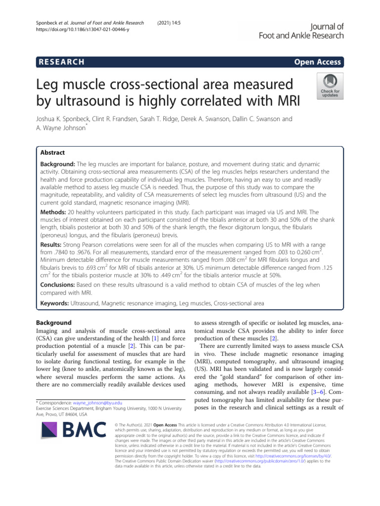 Leg Muscle Cross-Sectional Area Measured by Ultrasound Is Highly ...