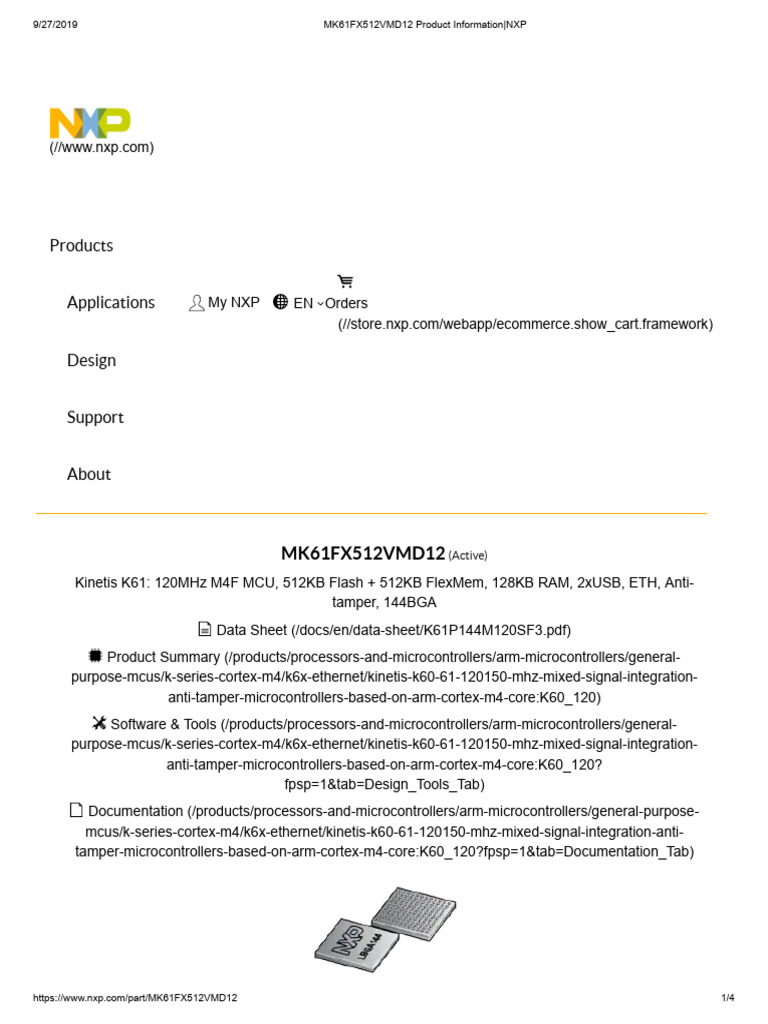 EVM Chip Product Info | PDF | Computer Science | Computing