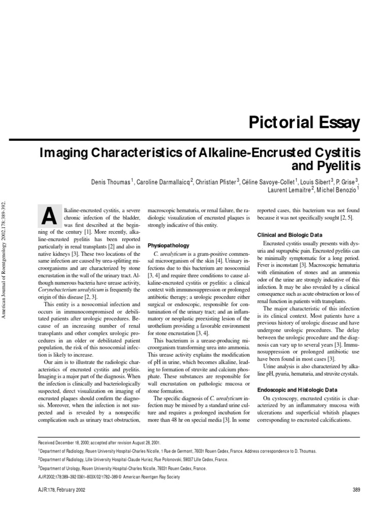 Imaging Characteristics of Alkaline-Encrusted Cystitis and Pyelitis ...