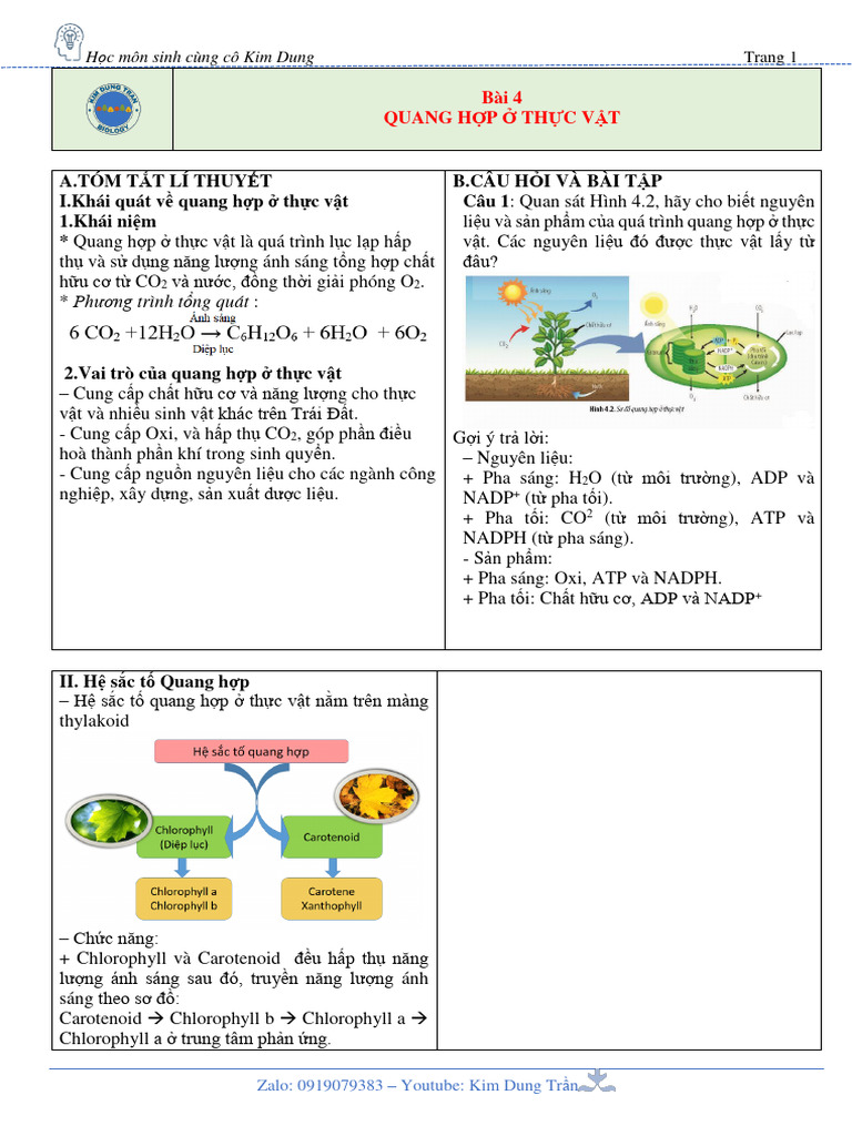 Bài 4-HS-Quang H P TV | PDF