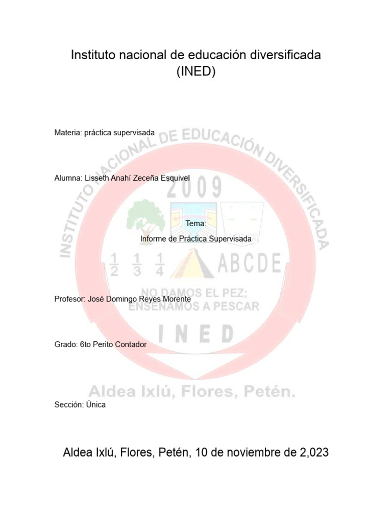 Informe de Práctica Supervisada INED | PDF