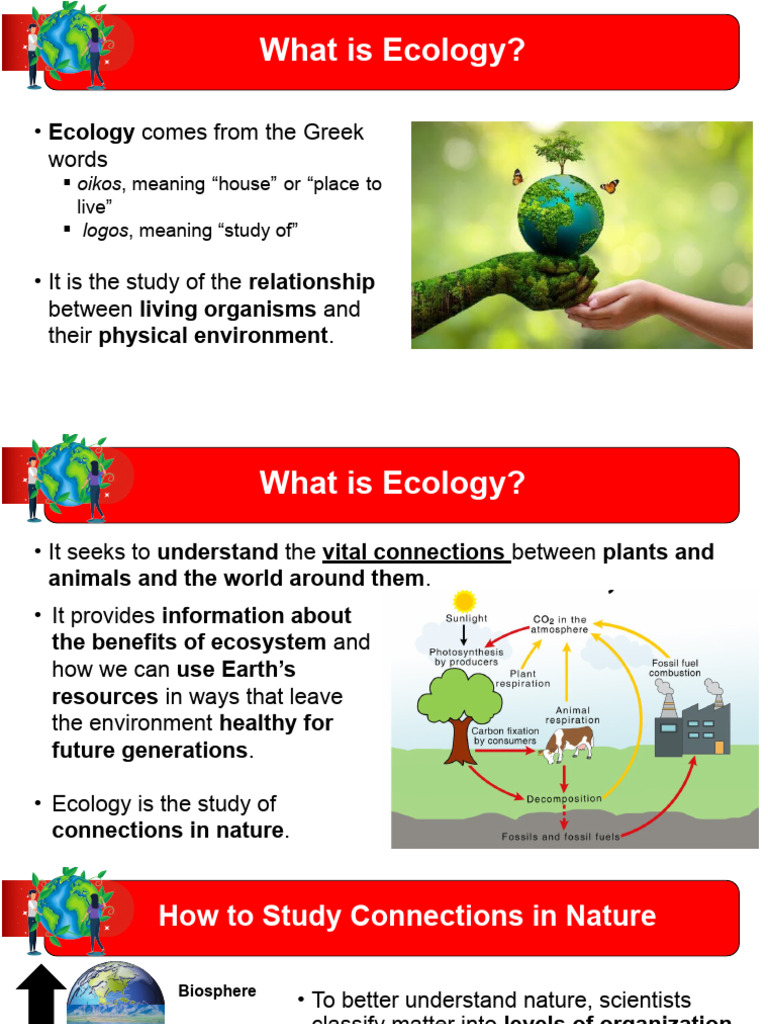 Intro to Ecology for Beginners | PDF | Ecology | Natural Environment