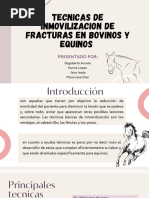 Protocolo Anestésico y Clasificación ASA | PDF | Anestesia | Cirugía