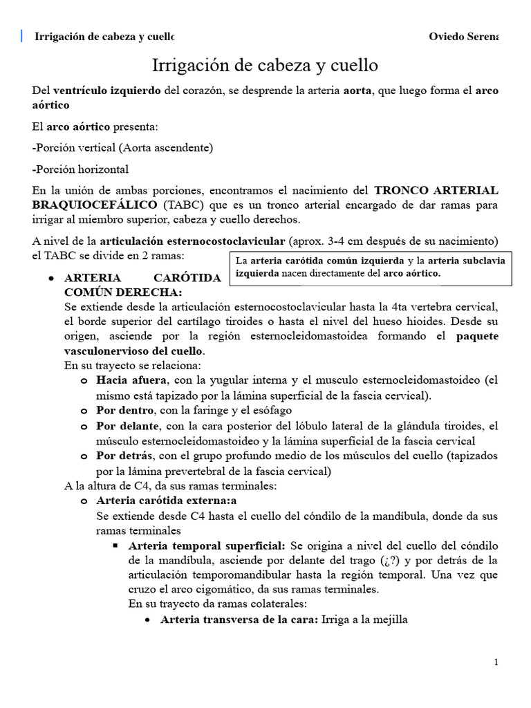 Irrigación de Cabeza y Cuello | Descargar gratis PDF | Anatomía humana | Cabeza y cuello humanos