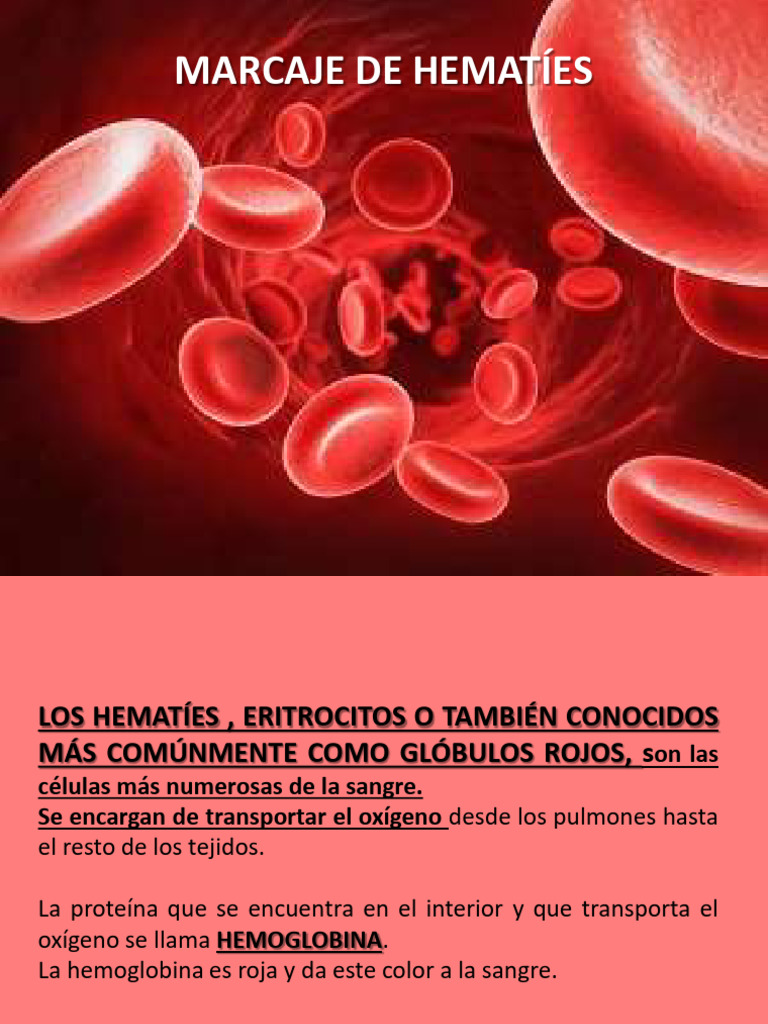 6.-Marcaje de Hematies | PDF | Glóbulo rojo | Sangre