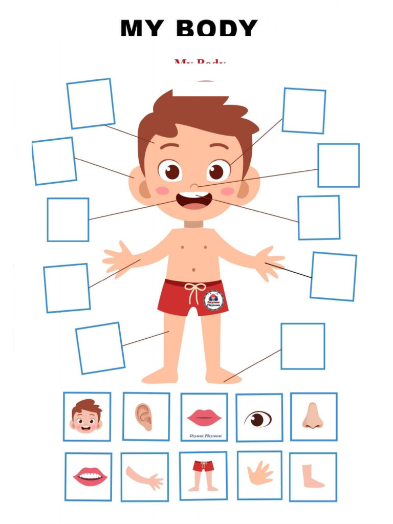 Ekskul English - My Body | PDF